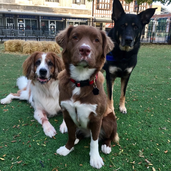 Jeffrey's Closet (@j_judson) | Poshmark